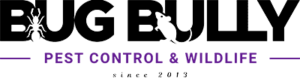 Bug Bully Rodent & Pest Control - Central Mass Pest Control