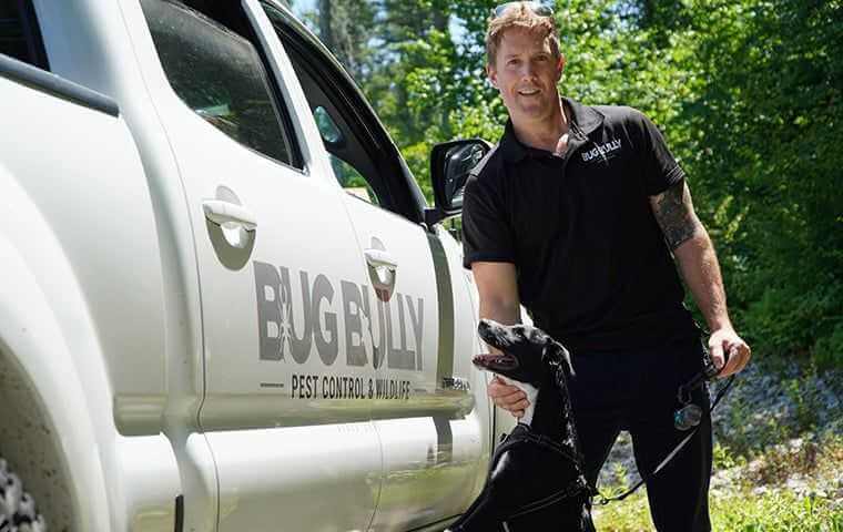 Save $50 - Sutton, MA Pest Control, Exterminator, Rodents, Ants, Bats, Roaches- Bug Bully