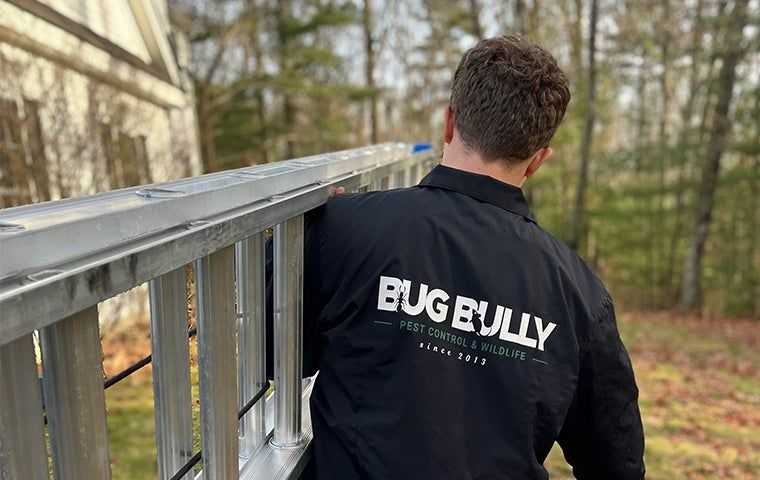 Hopkinton, MA Pest Control - Bug Bully