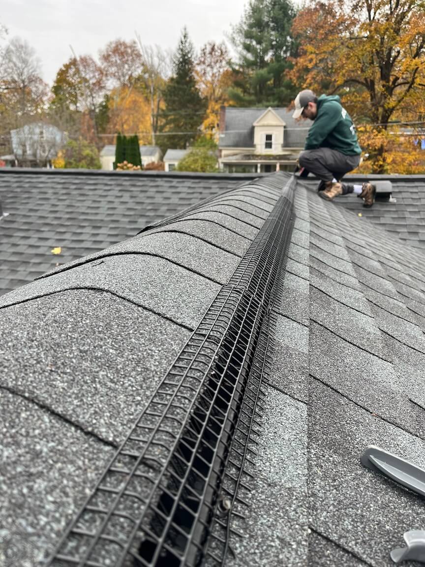 BullGuard Rodent Exclusion System Worcester / Framingham - Bug Bully