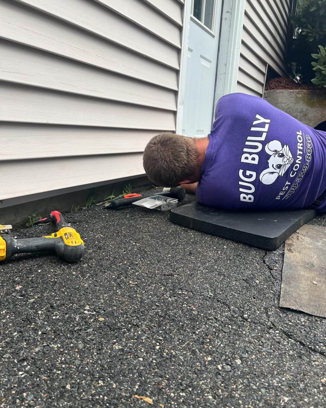 How to Keep Rodents Out of Your House: Tips from Bug Bully Rodent ...