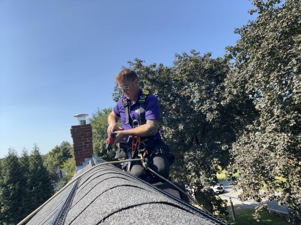 Wildlife Control, Worcester, Concord, Leominster - Bug Bully