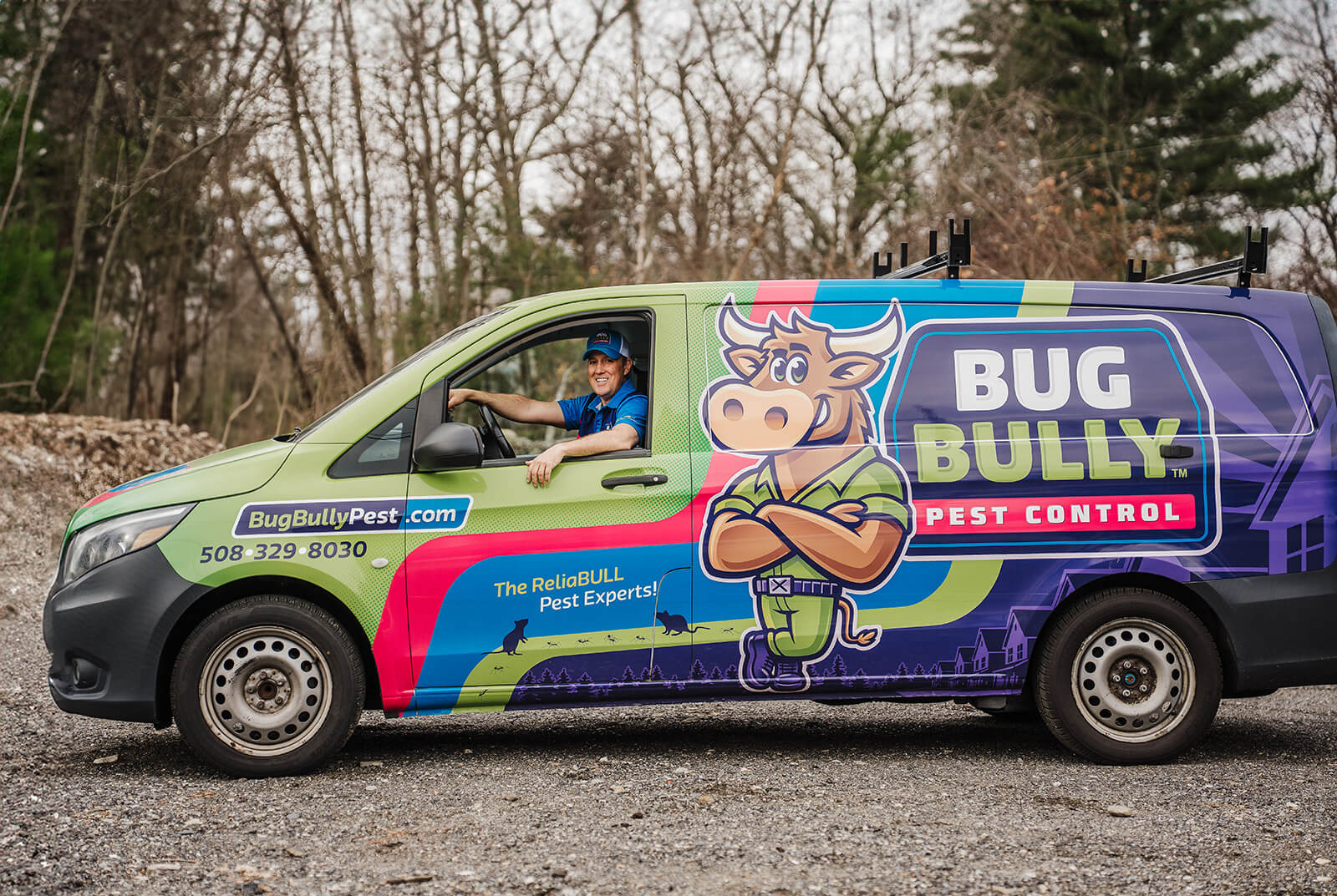 Where Can Bats Hide in Homes? - Bug Bully